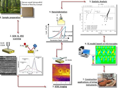 Pdf Finite Element Simulation Based‐on Atomic Force Microscopy And