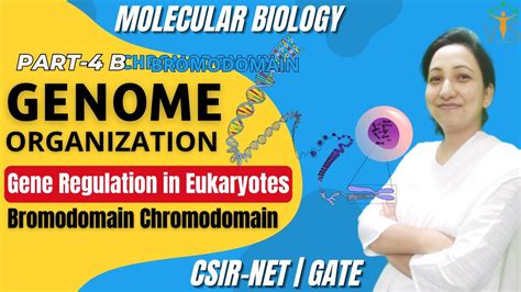 Genome Organization Part 4b Gene Regulation Bromodomain