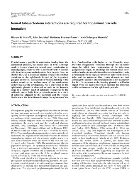 Pdf Neural Tube Ectoderm Interactions Are Required For Trigeminal