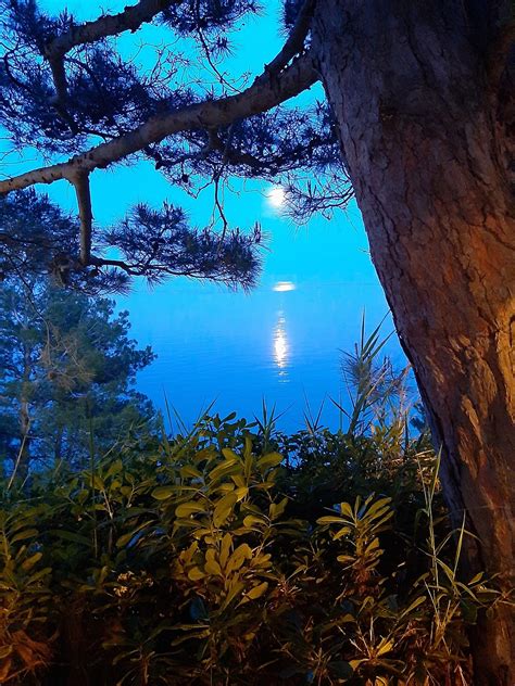 Moon Reflection Nature Free Photo On Pixabay Pixabay