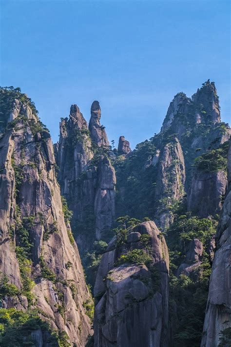 三清山猴王献宝 三清山赏曲 三清山玉虚峰 大山谷图库