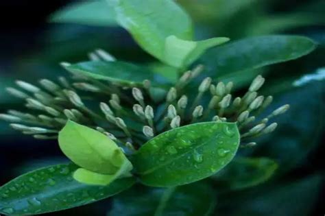 스킨케어 루틴에 아이크림이 꼭 필요한 이유 아트