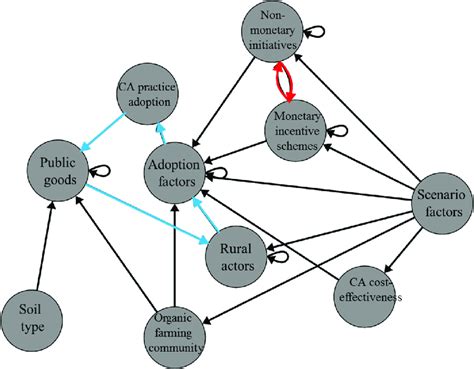 Aggregated Network Of The Fuzzy Cognitive Mapping As Resulting From The