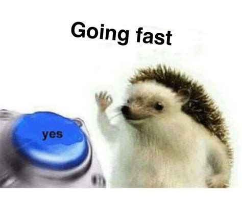 Sonic In A Nutshell Rgaming