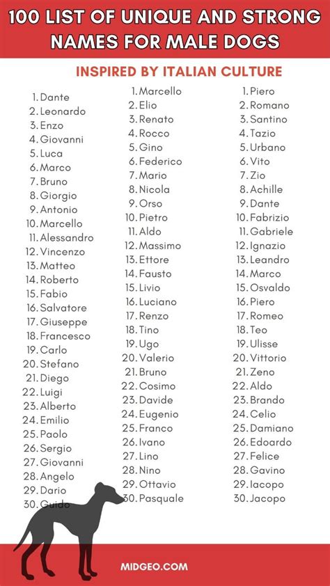 500 Italian Dog Names Unique And Charming Names For Your Pooch Artofit