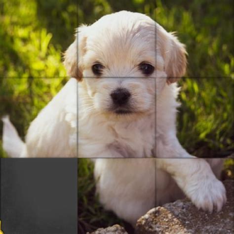 Sliding Puzzle Classic Game Aplicaciones En Google Play