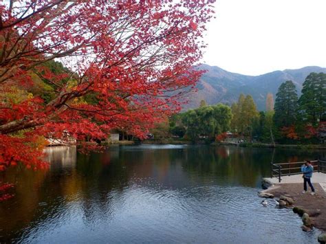【日本九州賞楓景點推薦】九州的楓紅也超美！ Funtime旅遊比價