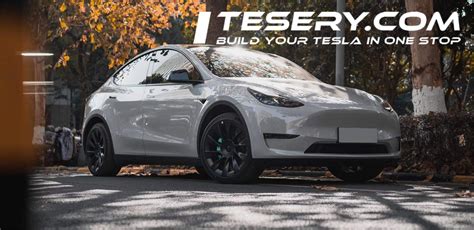 Tampas Dash Program Tesla Model Y Rides For Downtown Mobility