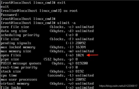 Linux系统最大打开文件数（etcsecuritynf：待更新其他设置）当前系统可打开的最大数量 Csdn博客