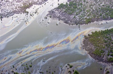 Impact Of The Oil Industry On Mangrove Vegetation And Carbon Stocks In