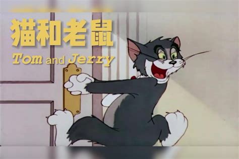 猫和老鼠：猫为了可以教训老鼠，竟撕掉一百万美元的继承遗嘱 老鼠 遗嘱 教训