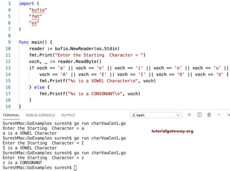 Go Program To Check Character Is Vowel Or Consonant