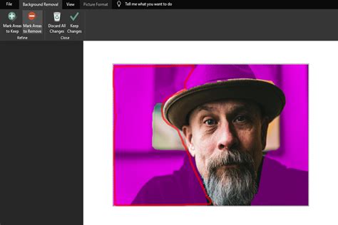 How To Edit An Image In Microsoft Word 8 Useful Tools