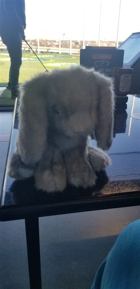 Rychus Main Blog The Pikachu Hat Tumblr Blog Tumlook