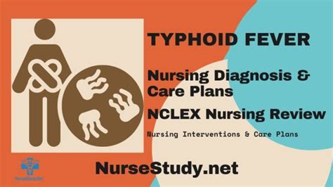 Typhoid Fever Nursing Diagnosis Care Plan NurseStudy Net