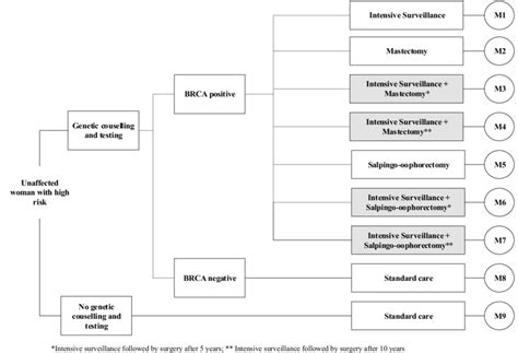 Decision Model That Shows The Test No Test Strategies And Download Scientific Diagram