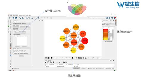 生信入门第十二课：用cytoscape绘制ppi网络图并使用cytohubba识别hub基因 墨天轮