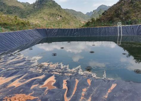 氧化塘防渗土工膜 东诺新材料 排水板蓄排水板植草格土工布厂家 全国诚招代理商