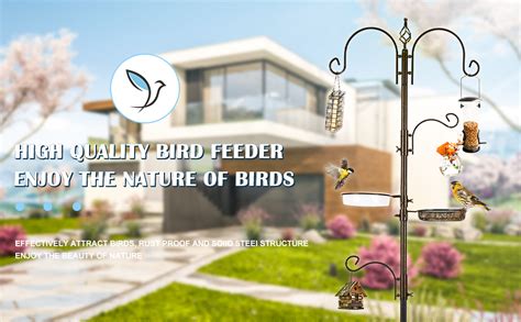 Amazon Deluxe Bird Feeding Station Kit Bird Feeder Pole Bird Feeder Hanging Kit Multi