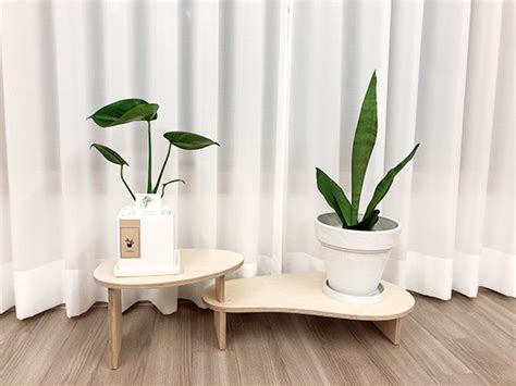 관엽식물 안전한 겨울나기 비법