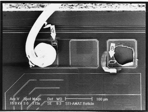 Sem Micrograph Showing The Locations Of Fib Cut On A Good Pad Denoted