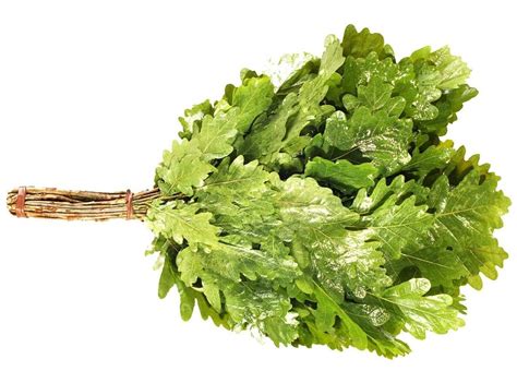 Банный веник вектор 48 фото