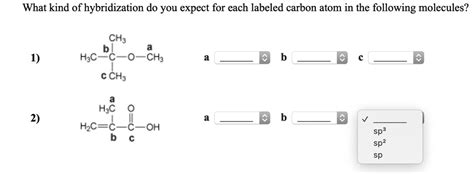 Solved What Kind Of Hybridization Do You Expect For Each Labeled