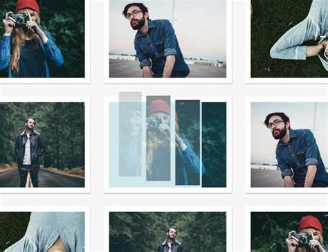 image caption hover webcodingplace demos