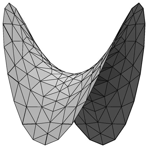 Surface Evolver Examples
