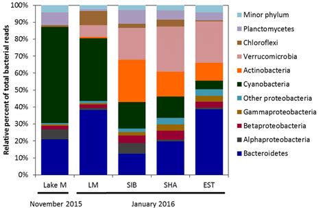 Phylogenetic Classification Of 16s Rrna Gene Sequence Reads Bacterial