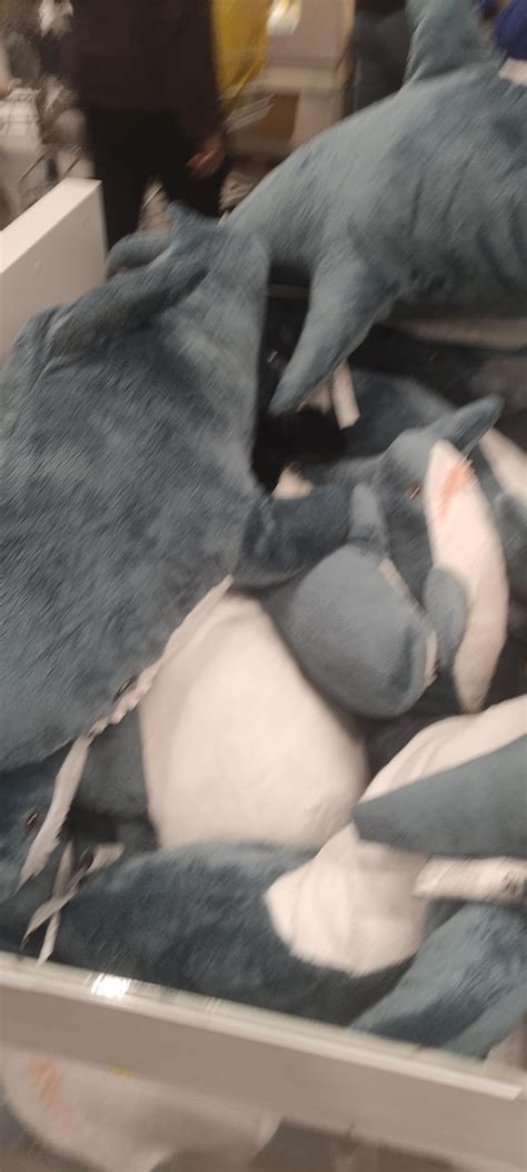 Pictures during my quest for Blahaj : r/BLAHAJ