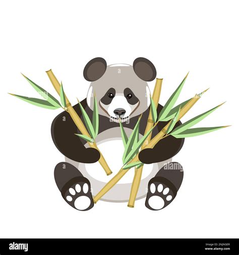 panda sitting in bamboo trees vector illustration in flat technique