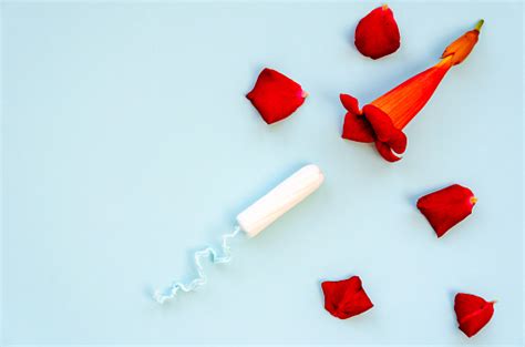 빨간 캠프꽃 앞에서 여성의 기간 동안 부드러운 면 탐폰과 파란색 배경에 장미 꽃잎 여성의 월간 생리위생 제품 맨 위 보기 0명에