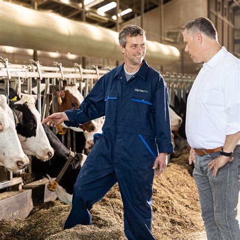 Mycotoxin Binder Herbavita