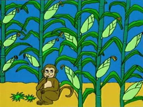 猴子掰玉米是什么意思 百度知道