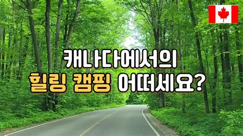 캐나다 캠핑 막걸리 만들기 힐링 숲속길 어웬다 주립공원 Youtube