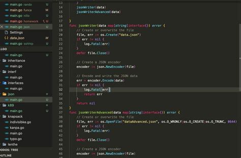 Golang Golangdeveloper Json Writing Backenddeveloper Anthony