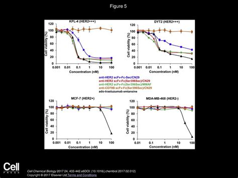 Stable And Potent Selenomab Drug Conjugates Ppt Download
