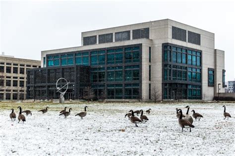 Sara Kalagi On Linkedin Missing Indy 💔