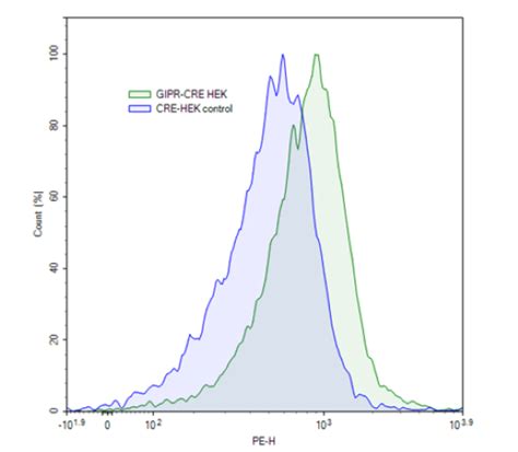 Gipr Cre Luciferase Reporter Hek293 Cell Line