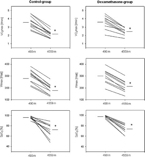 Effect Of Acute Hypoxia On Treated And Untreated Subjects Control Download Scientific Diagram