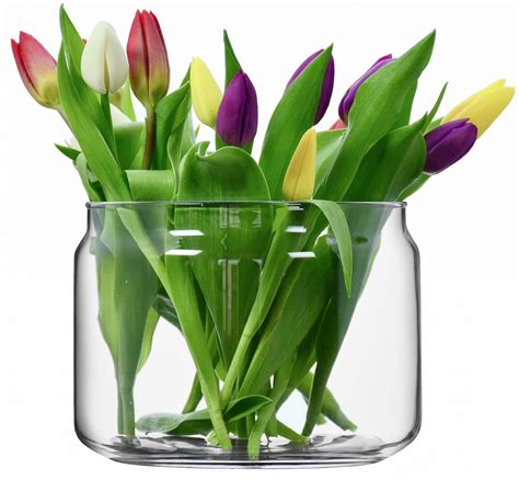 Glass Wide Vase 17cm Solavia Glassware Home Décor