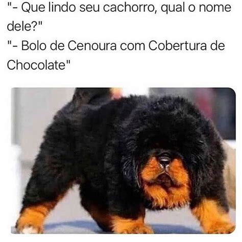 Que Lindo Seu Cachorro Qual O Nome Dele Bolo De Cenoura Cobertura