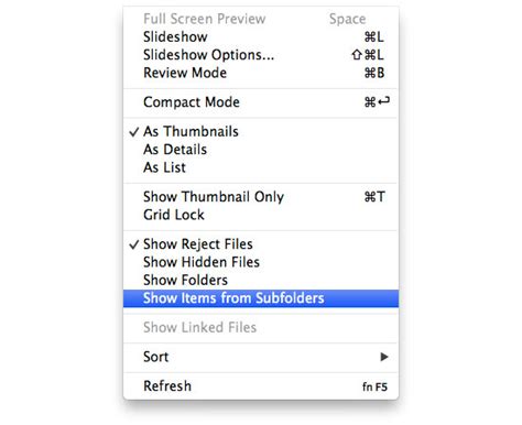 Using Adobe Bridge To View Images Only