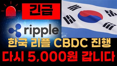 리플 한국 Cbdc 진행 다시 5000원 갑시다 Youtube
