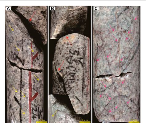 Figure 1 From Development Characteristics Of Multi Scale Fracture Network Systems In Metamorphic