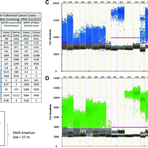 Results From Ddpcr Analysis Of Human Kras Positive Colorectal Cases Download Scientific