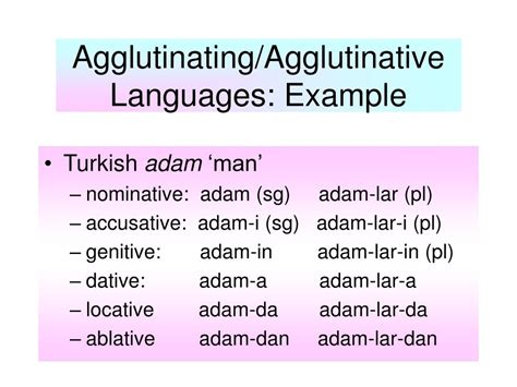 Ppt Typological Classification Of Languages Powerpoint Presentation