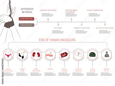 Infographic About The Difference Between Human Trafficking And Human