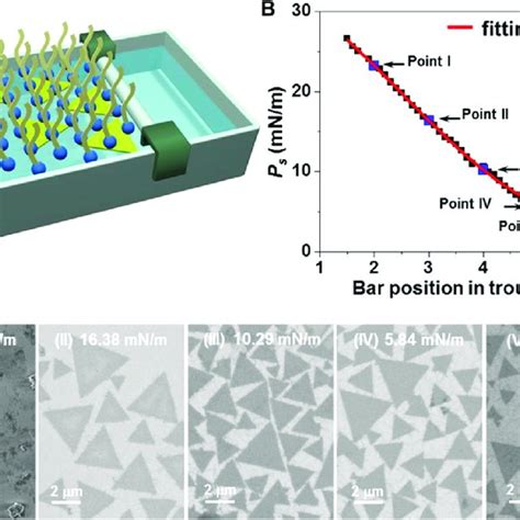 Influence Of The Surfactant Monolayer Packing Density On The Nanosheet Download Scientific
